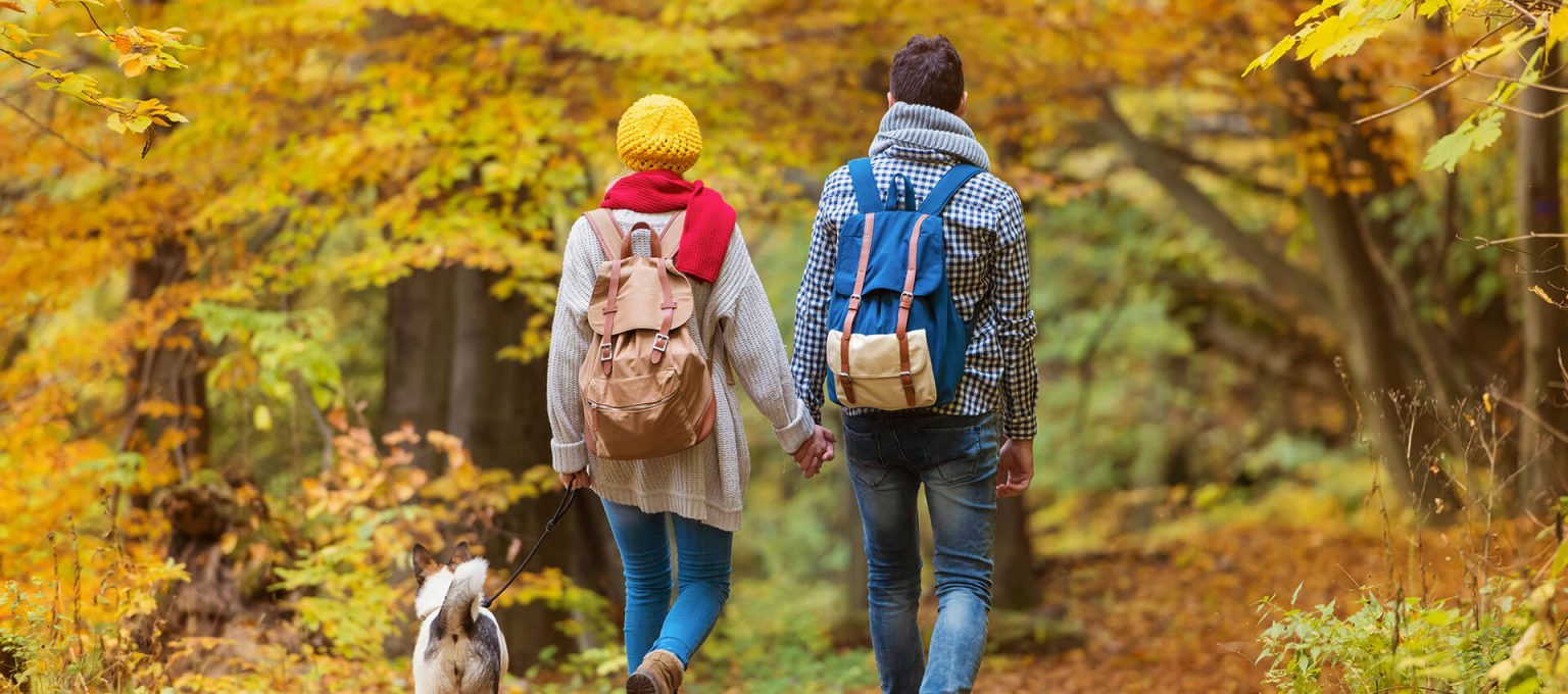 How walking benefits mental health - Vita Health Group