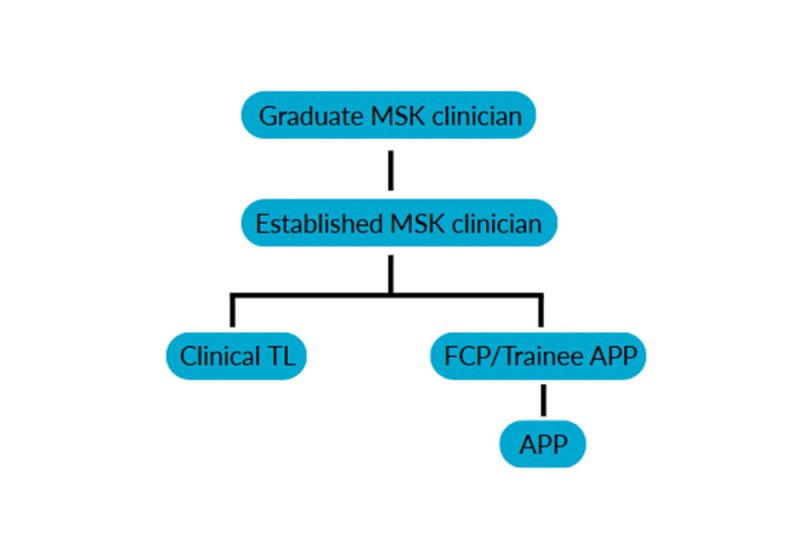 Post-Graduate Musculoskeletal Training and Development - Vita Health Group